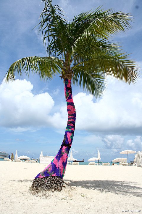 Olek Yarn Bombed a Palm Tree! - KnitHacker