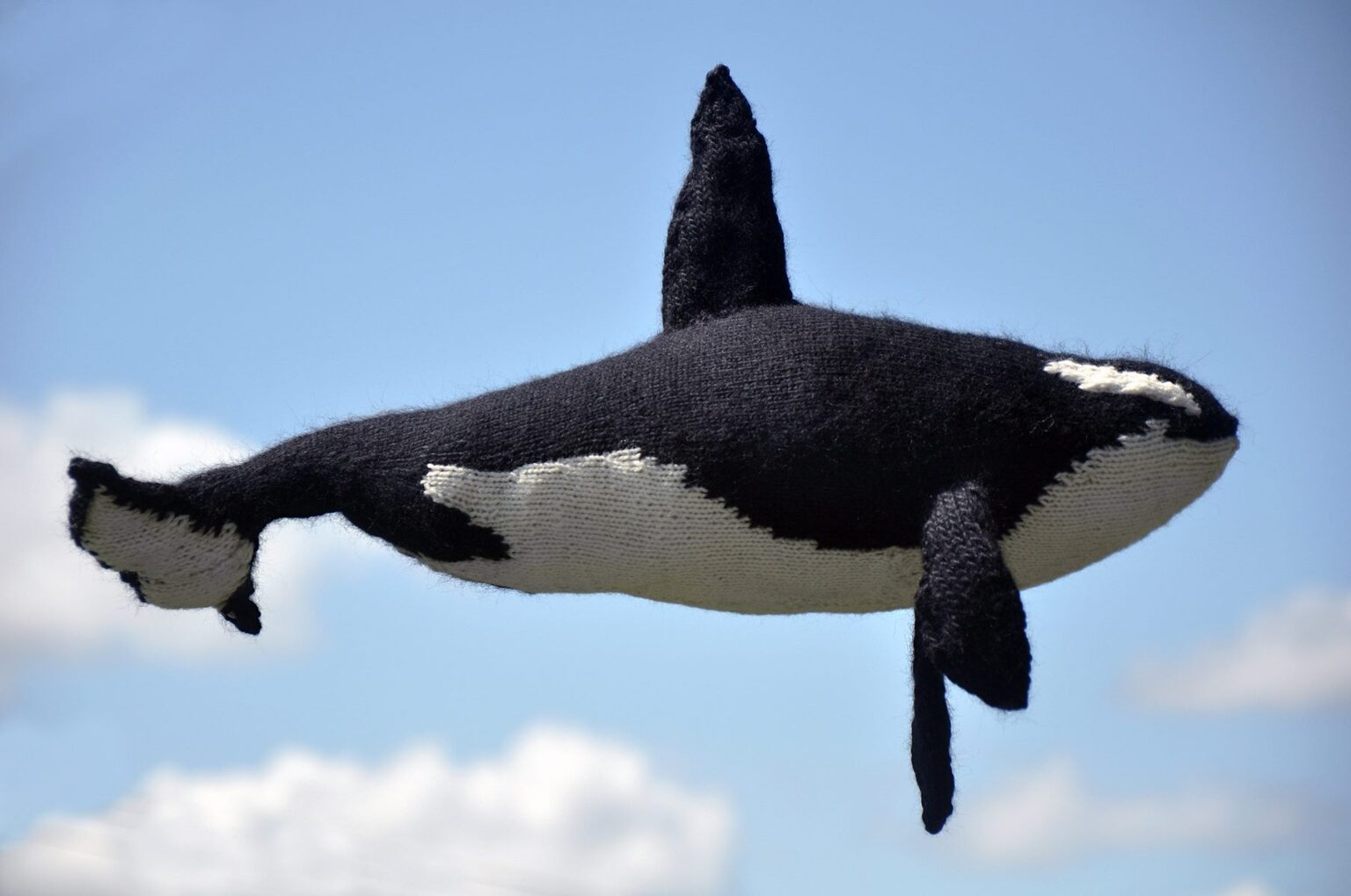 Then She Knit an Orca and You'll Agree, It's Monumental - KnitHacker ...