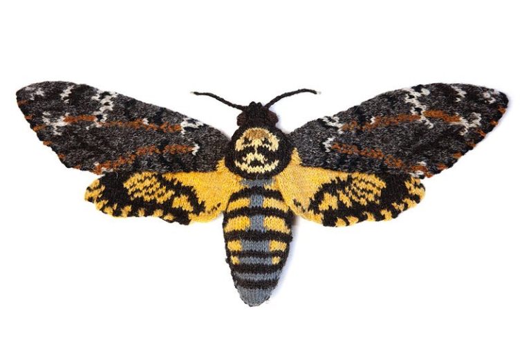 Knitted Death’s Head Hawk Moth By Max Alexander … It’s Stunning ...