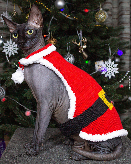 Christmas In July … Knit A Seamless, Santa-Inspired Christmas Sweater ...